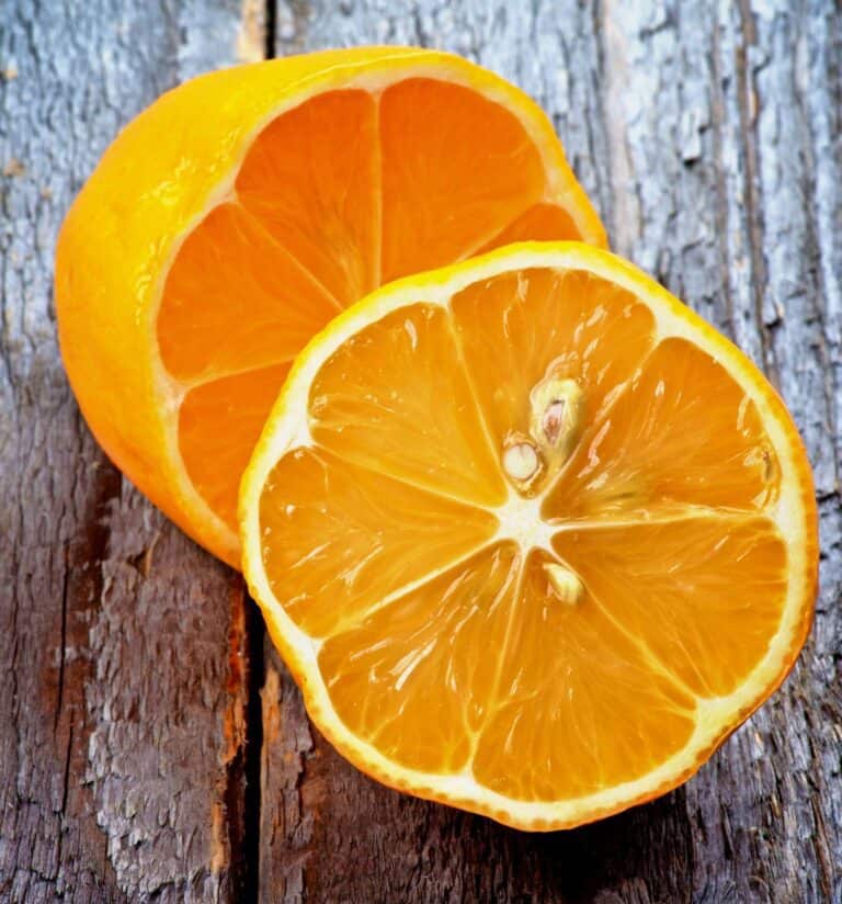 10 Surprising Sweet Orange Essential Oil Benefits