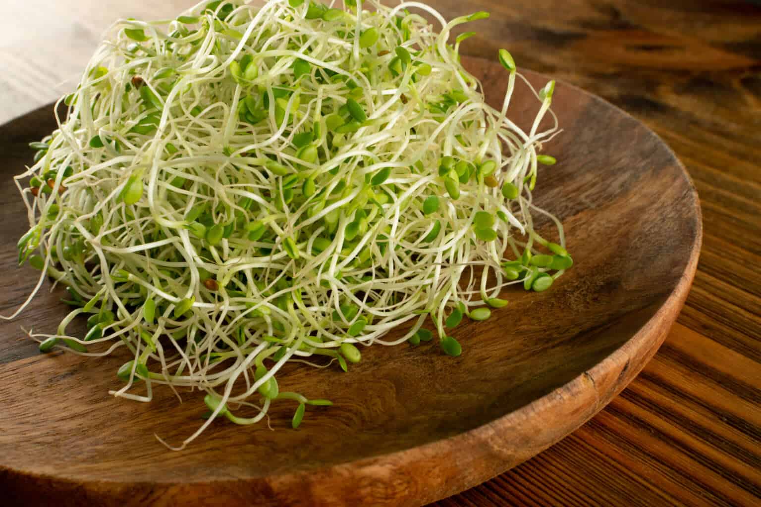 5 Amazing Red Clover Sprouts Health Benefits - Icy Health