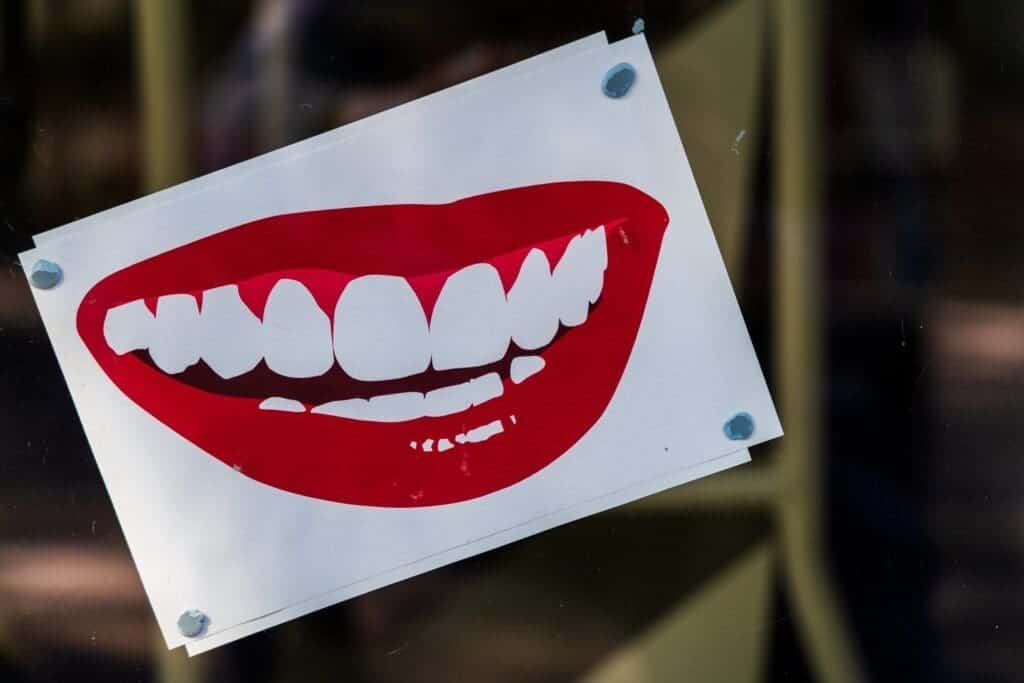 Know The 4 Different Types Of Teeth And Their Functions