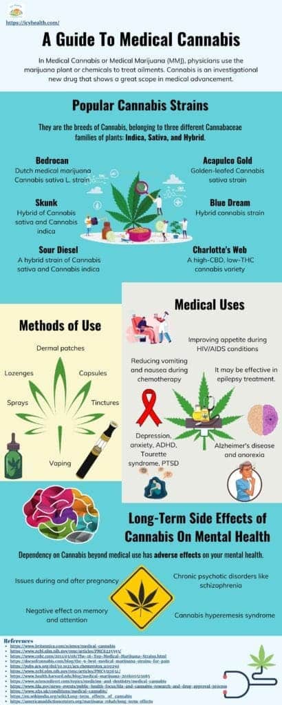 All You Need To Know About Hemp Buds - A Comprehensive Guide