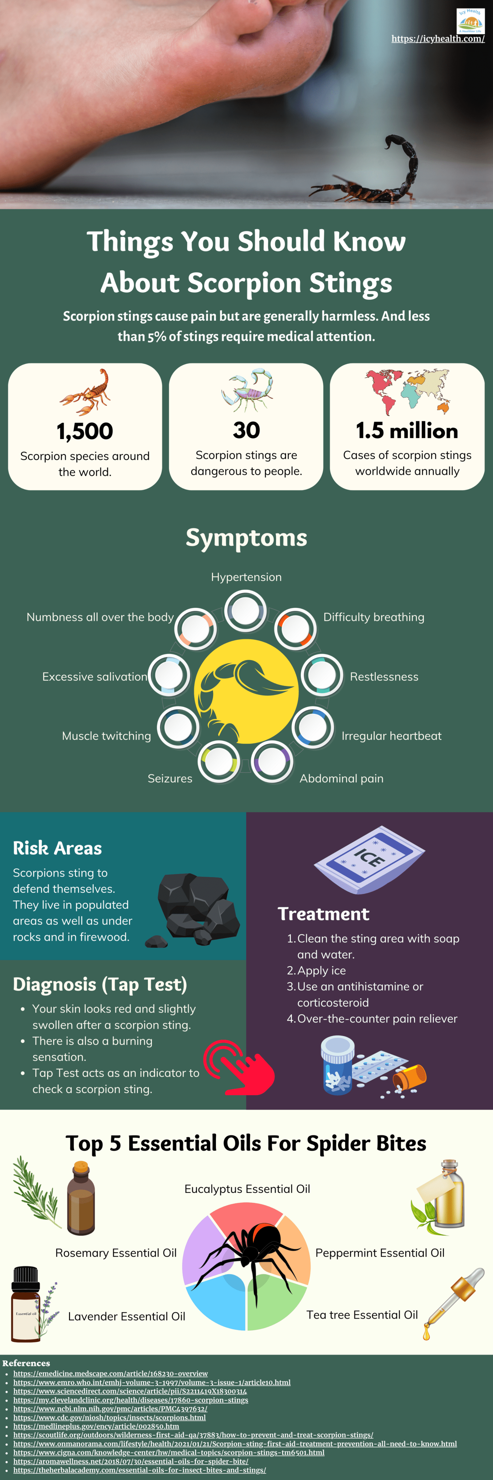 Brown Recluse Spider Bite & 3 Diagnostic Methods - Icy Health
