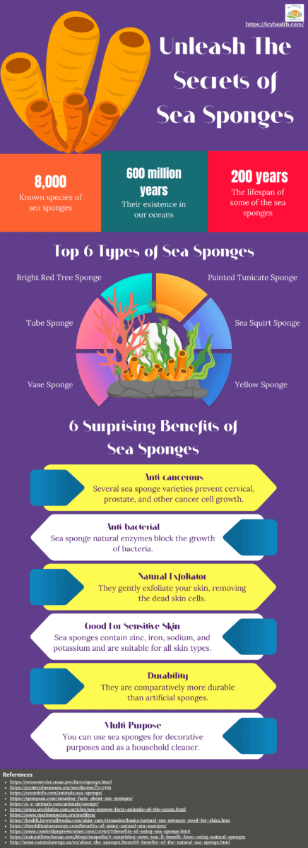 6 Captivating Facts About Venus Flower Basket