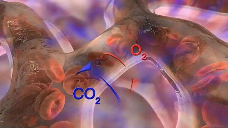 What Do Low CO2 Levels In Blood Indicate