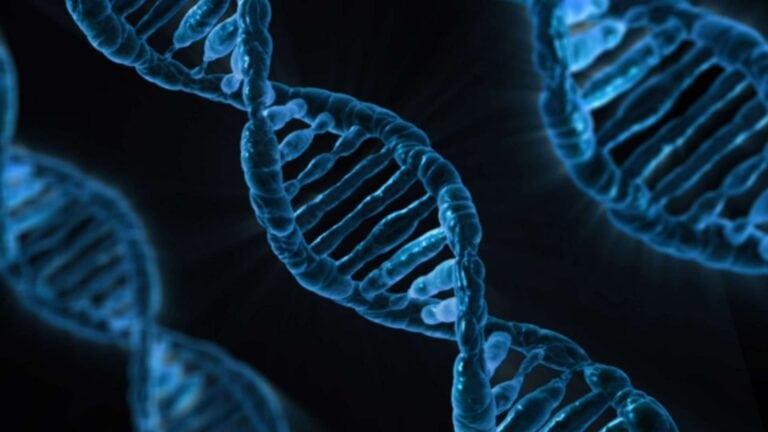 What Foods Kill Testosterone: 14 Testosterone Killers - Icy Health